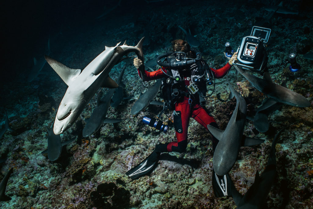 700 SHARKS – VDSTsporttaucher